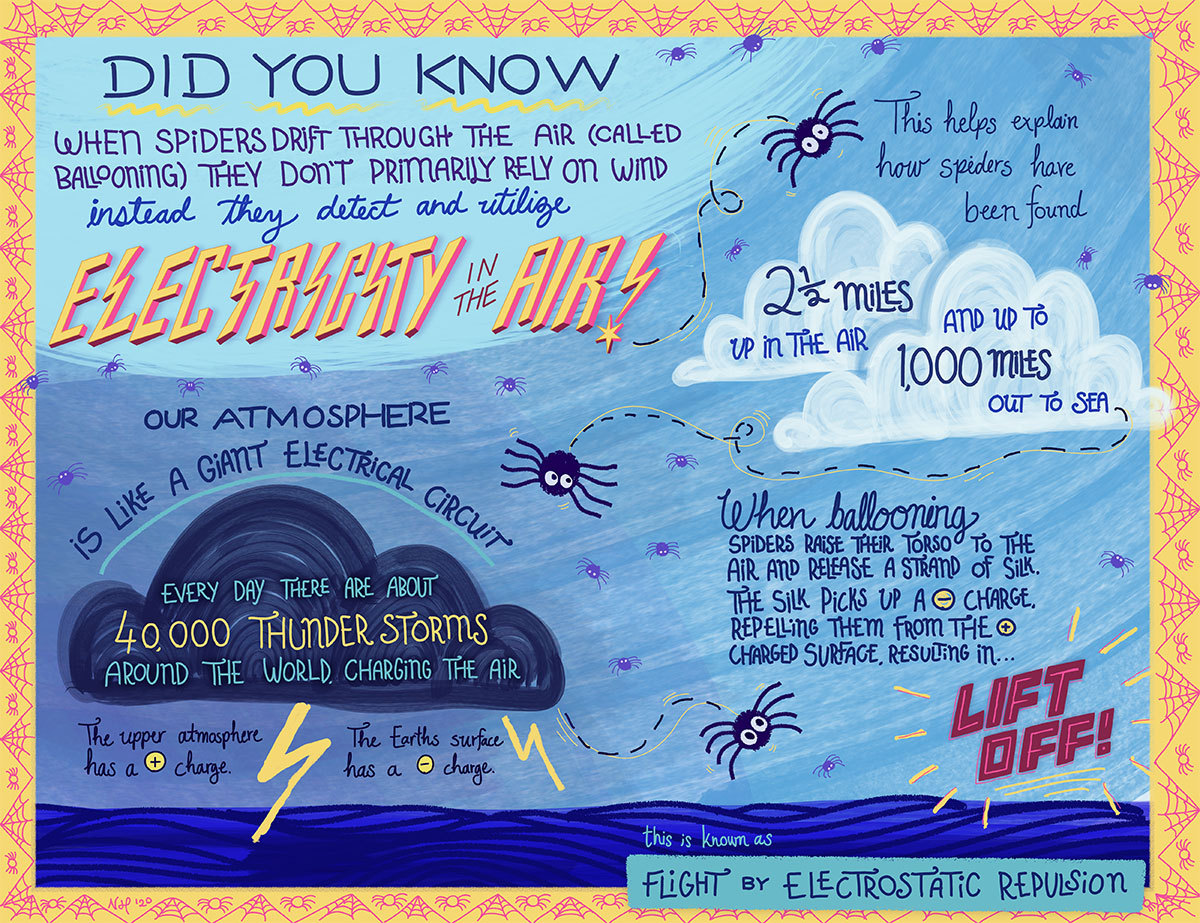 Electric Spiders – Natalie Heaman